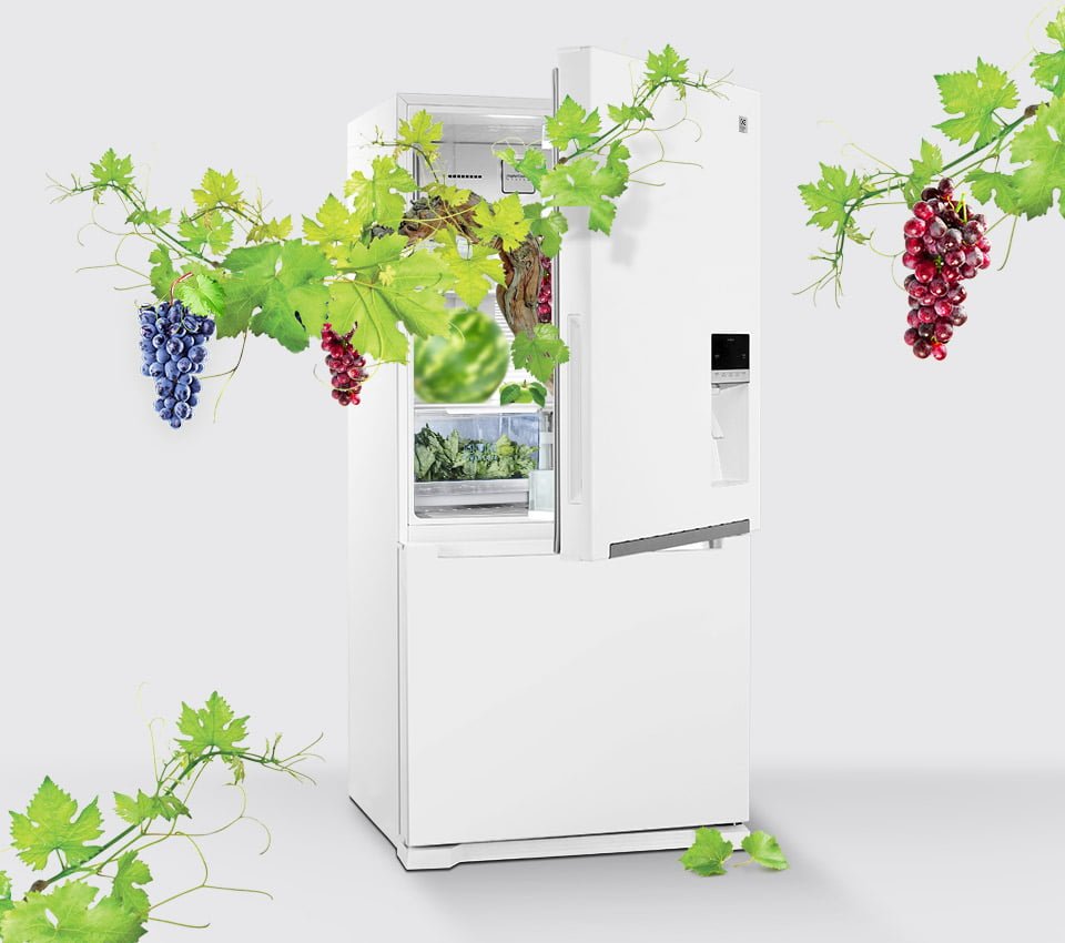 یخچال و فریزر 28Ft دوو مدل DB-2830LW سفیدچرمی سری Ultimo – برتر کالای تهران